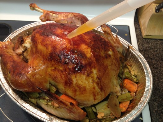Roasting My First Turkey: How To Clean, Brine, Roast A Turkey And Make ...