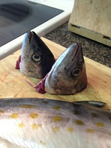 Homemade Chinese Fish Balls…The Way They Should Be Made | This Hungry ...